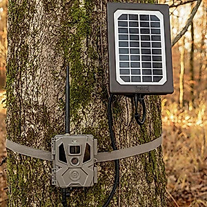 Primos Solar Panel Tan Universal, Box