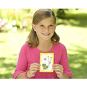 4M Green Creativity Pressed Flower Art Kit, Recycle Flowers Art & Crafts DIY Kit, For Boys & Girls Ages 5+
