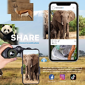 20x50 Hunting Binoculars for Adults High Powered with Low Light Night Vision - 28mm Large Eyepiece Professional Binoculars for Bird Watching Hiking Travel with BAK4 Prism FMC Lens, Green