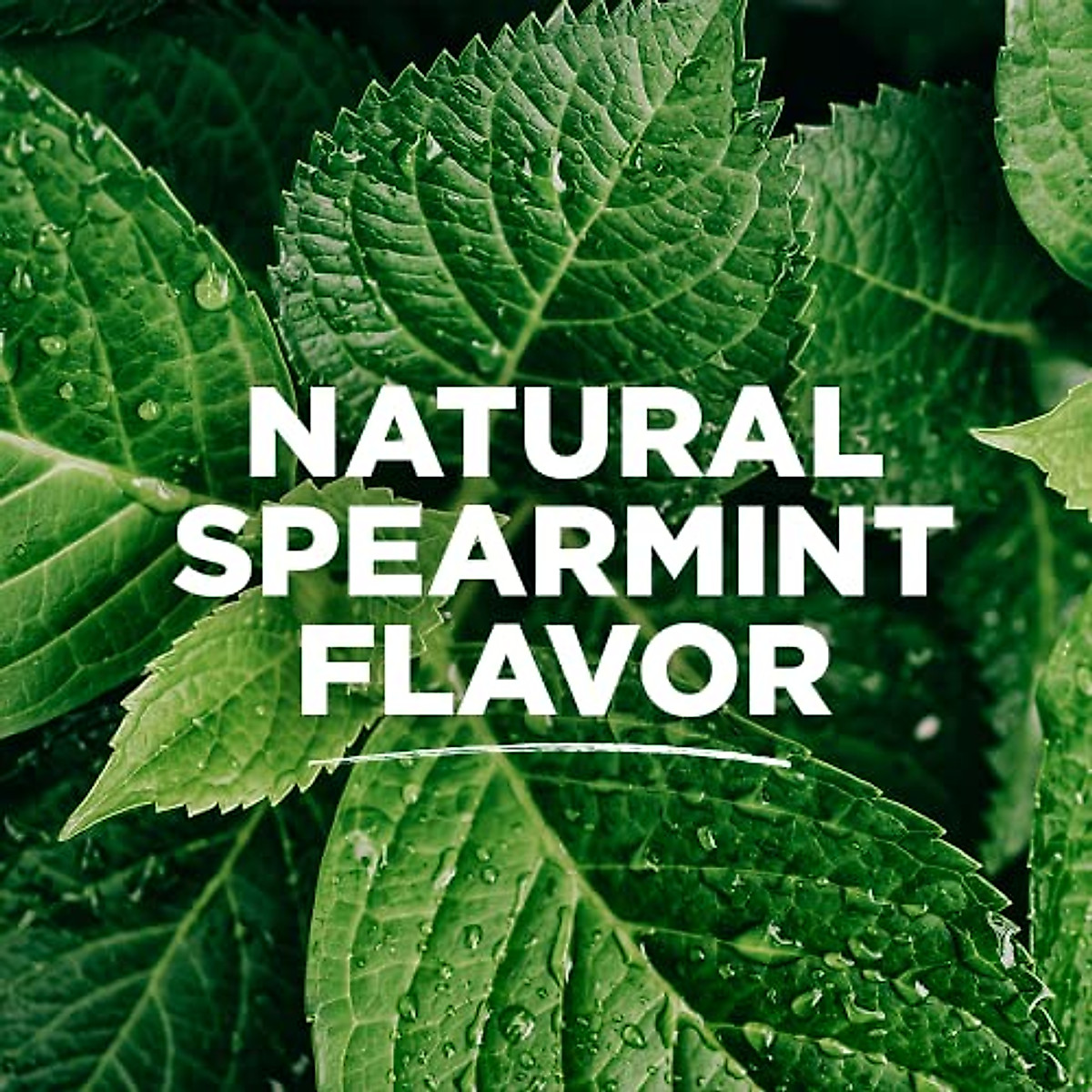 Tom's of Maine Naturally Waxed Antiplaque Flat Dental Floss, Spearmint, 32 Yards