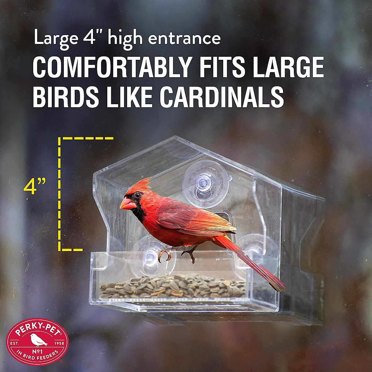 Perky-Pet 345 Clear Outdoor Window Bird Feeder with Strong Suction Cups – 1/2 Lb Seed Capacity