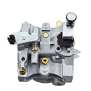 raseparter 491912 Carburetor Replacement for Briggs & Stratton 491912 161436 161432 Lawn Garden Mower Engine with Gaskets