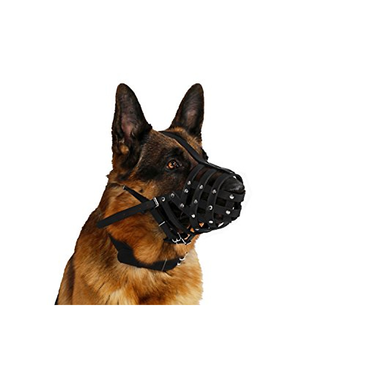 CollarDirect Dog Muzzle German Shepherd Dalmatian Doberman Setter Leather Basket Medium Large Breeds Black Brown (L, Black)