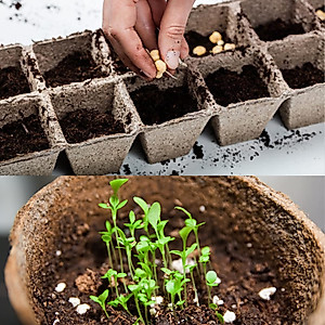 Organic Sphagnum Peat Moss by Doter, Added to Soil and Enriches Plant Roots, Gardening Soil Amendment and Carnivorous Plant Soil Media(1qt)