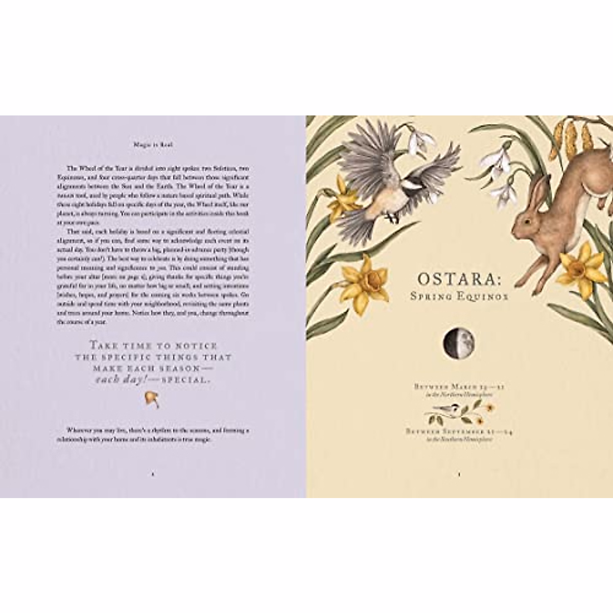 The Wheel of the Year: An Illustrated Guide to Nature's Rhythms