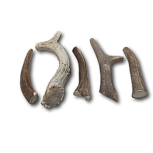 Top Dog Chews – Large Variety Pack, Premium, Grade A, Antlers for Large, Medium or Small Dogs, Antlers from Deer, Elk, & Moose Included, Natural, Long Lasting, Chews for Aggressive Chewers, 1lb