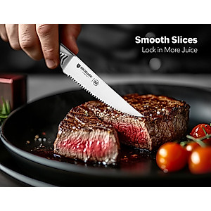 BRODARK Steak Knives Set of 8, 4.5 Inch Serrated Steak Knives, High Carbon Stainless Steel Kitchen Steak Knife Set, Never Need Sharpening, NSF Certified, Shark Series