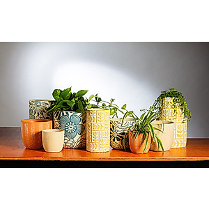 Abbott Collection Home Loons Dishcloths. Set of 2.