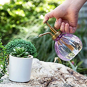 KONIEE 350ml Retor Plant Flower Watering Pot Bottle Garden for Mister Sprayer Hairdressing Garden Tool Small Watering Can for Indoor Plants Rose Gold