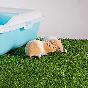Aulock 2 Pcs Artificial Grass Guinea Pig Pee Pads- 15.7 × 23.6 Inch Fake Grass Rug Potty Training Replacement Artificial Turf for Puppy, Rabbits, Hamsters, Bunnies, Gerbils, Other Small Animals