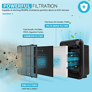 2Pack AP-1512HH True HEPA Replacement filter Compatible with Coway air Purifier AP-1512HH, AP-1512HH-FP, AP-1518R, AP-1519P, Item NO #3304899