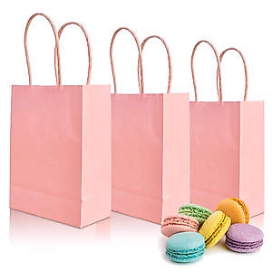 BEISHIDA Small Gift Bags Party Favor Bags Paper Gift Bags Pink Gift Bags with Handles Birthday Gift Bags (6.5 x 4.5 x 2.5 Inch, 20PCS)