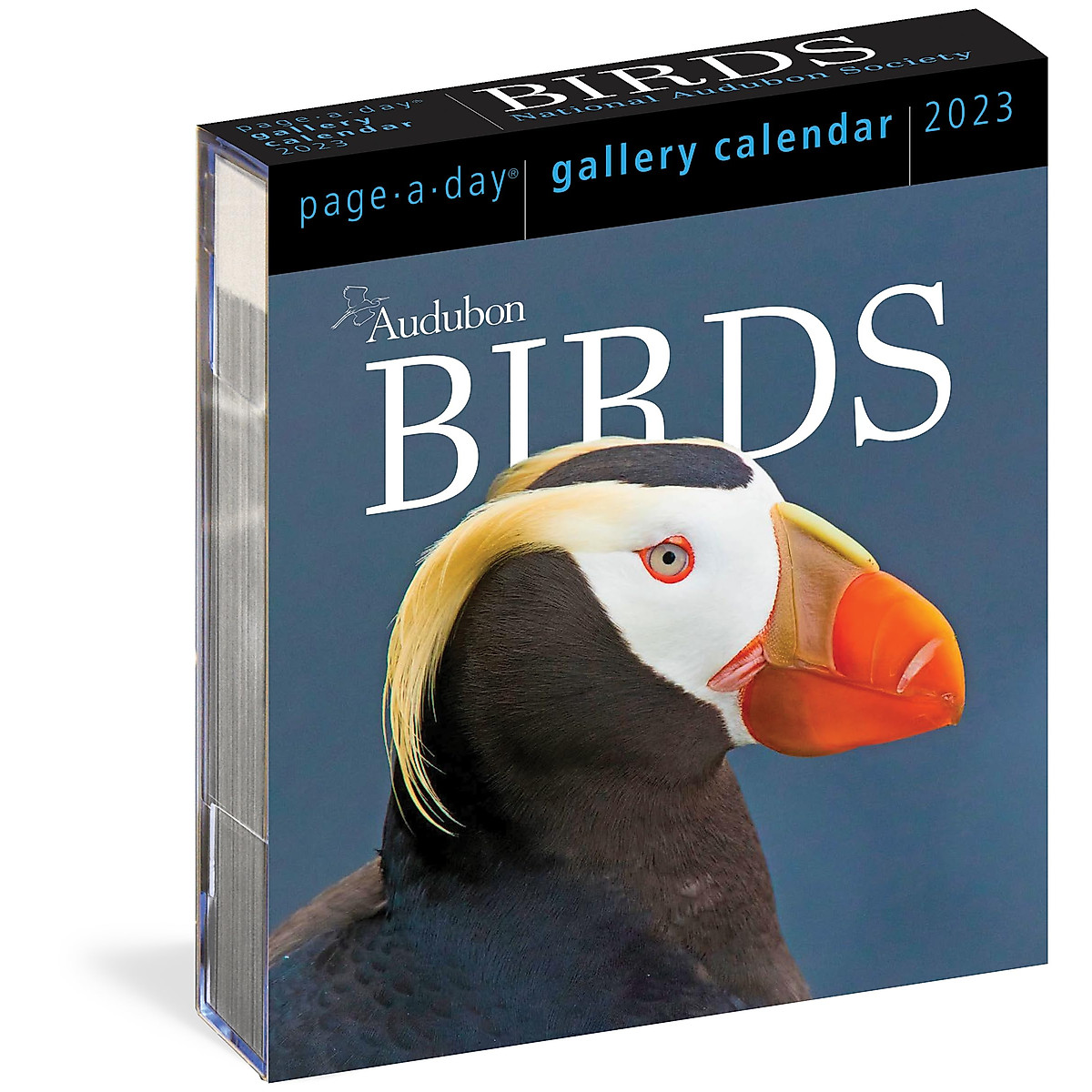 Audubon Birds Page-A-Day Gallery Calendar 2023: Hundreds of Birds, Expertly Captured by Top Nature Photographers