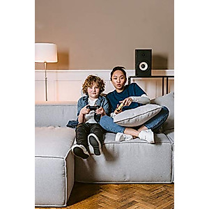 Peakfun 208 in 1 Game Cartridge Multicart,DS Pack Card Compilations, Fine Works Combo Multicart for Ninte-ndo DS, NDSL, NDSi, NDSi LLXL, 3DS, 3DSLLXL, New 3DS 2DS, 2DS LLXL (black)