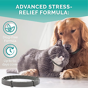 PREMIUM CARE Calming Collar for Dogs - Anti-Anxiety and Stress Relief Collar - Pheromone Collars for Dogs - Adjustable up to 24.4 inches - Lasts up to 60 Days- De-Stress Formula to Relieve Stress