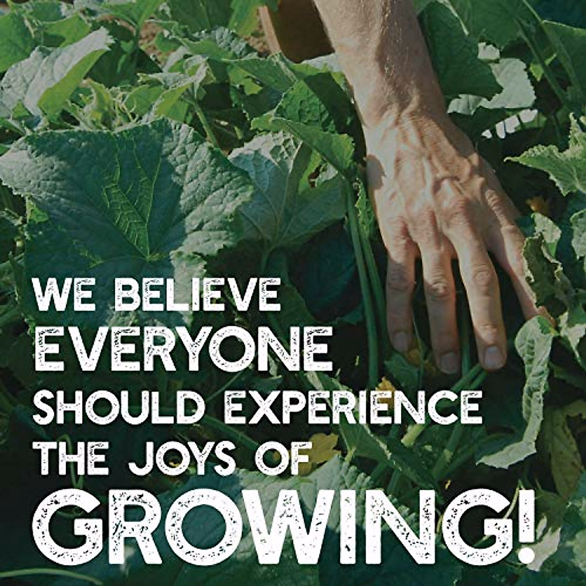 Package of 80,000 Wildflower Seeds - Hummingbird and Butterfly Wild Flower Seeds Collection - 23 Varieties of Pure Non-GMO Flower Seeds for Planting Including Milkweed, Nasturtium, and Forget Me Not…