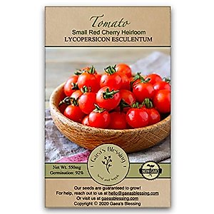 Gaea's Blessing Seeds - Tomato Seeds - Small Red Cherry Heirloom - Non-GMO Seeds with Easy to Follow Planting Instructions - Open-Pollinated 92% Germination Rate