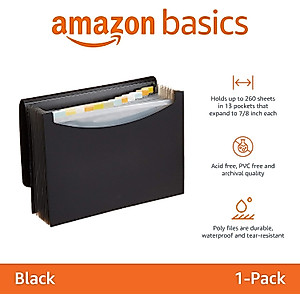 Amazon Basics Expanding Organizer File Folder, Letter Size - Black, 1-Pack