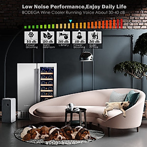 BODEGA 24 Inch Beverage and Wine Cooler, Built-in and Freestanding Wine Beverage Refrigerator Dual Zone, Holds 57 Cans and 18 Bottles, with Independent Temperature Control,Upgraded Compressor Quiet