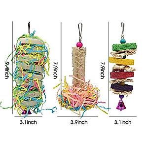 ZOCONE 6 Pcs Bird Toys, Parrot Foraging Chewing Toys, Bird Shredding Toys, Loofah Hanging Parakeet Toys, Cage Accessories for Cockatiels, Conure, Medium/Small Parrots, Finch, Lovebirds, Budgie