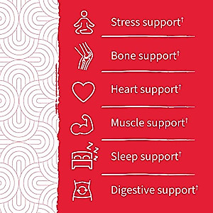 Dr Formulated Magnesium Citrate Supplement with Prebiotics & Probiotics for Stress, Sleep & Recovery – Garden of Life - Vegan, Gluten Free, Kosher, Non-GMO, No Added Sugars – 60 Raspberry Gummies