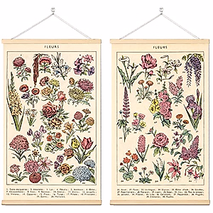 Vintage Flower Posters Botanical Wall Art Prints Cottagecore Room Decor, Colorful Floral Wildflower Wall Art Decor Plant Hanging Poster Nursery Wall Decor, Flower Wall Art Prints for Home Office Bedroom Dorm Decor Frame, 16 x 22Inch x 2pcs