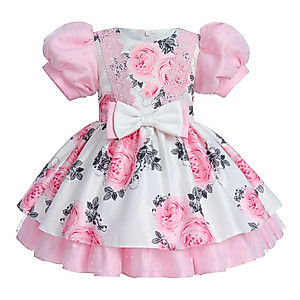 Baby Girl First Birthday Party Dress Headband Outfit Toddler Kids Flower Printed Short Sleeve Bowknot A-line Knee Length Lace Tutu Princess Dress for Pageant Wedding Bridesmaid Formal Pink 18-24M