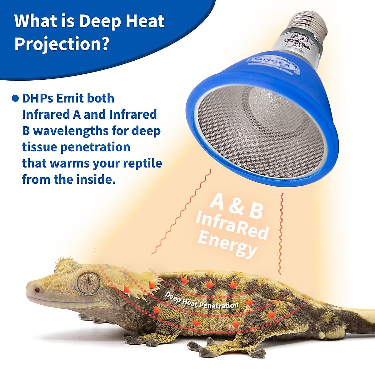 Pangea Deep Heat Projector 2-Pack for Reptiles with Carbon Fiber Filament, Deep Warming Infrared A and B Bulb for Basking Reptiles, Designed for Ceramic Sockets (100 Watt)