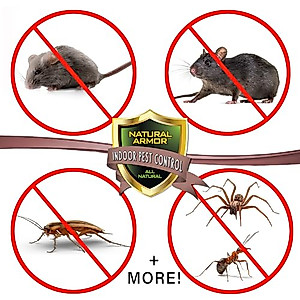 Peppermint Repellent for Indoor Pest Control - All Natural & Safe Spray for Outdoor Use. Natural Armor Indoor Pest Control. 128 Oz Gallon, Refill