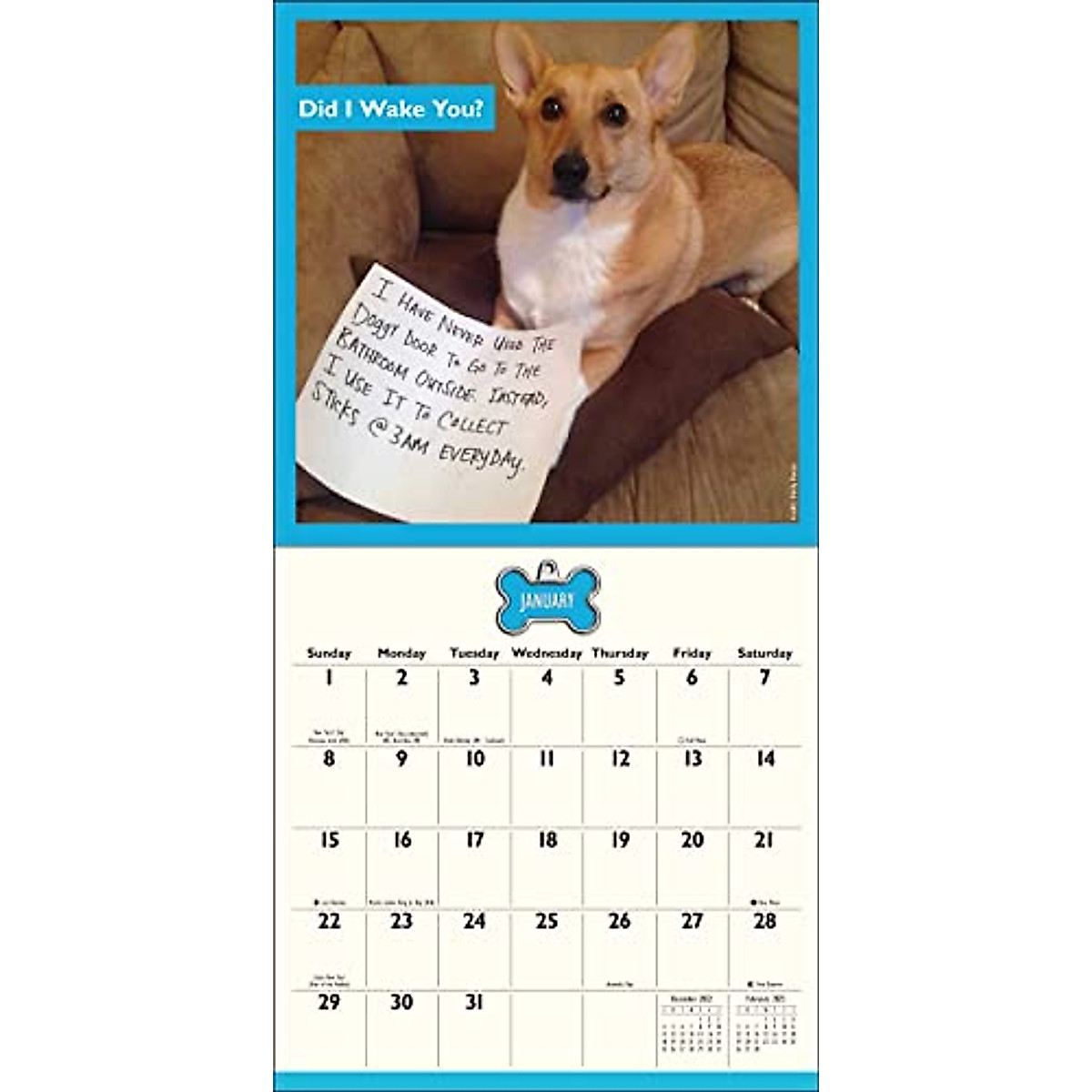 Dog Shaming 2023 Mini Wall Calendar