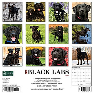 Willow Creek Press Black Labs Monthly 2024 Wall Calendar (12" x 12")