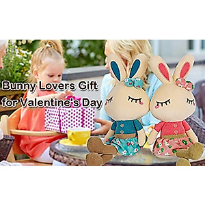 Cllayees Set of 2 Plush Bunny Rabbit, 18.3 in Doll Rabbit Stuffed Animal Huggable Rabbit Easter Girls' Gift Room Decorations, Pink & Blue