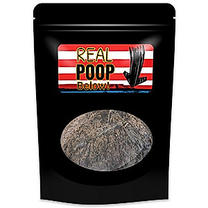 Gears Out Real Cow Poop Funny Easter Basket for Adults Weird Teen April Fools Pranks Silly Stocking Stuffers Crazy for Men White Elephant Manure Joke