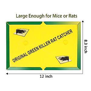 Ezoon 12 Pack Large Mouse Glue Traps with Enhanced Stickiness, Rat Mouse Traps, Snake Mouse Traps Sticky Pad Board for House Indoor Outdoor, Easy to Set, Extra Large (8.3" x 12")