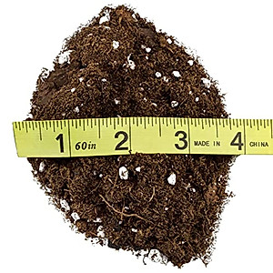 Hoya Plant Potting Soil Mix (4 Quarts), Custom Blend for Growing Hoya Tropical Houseplants