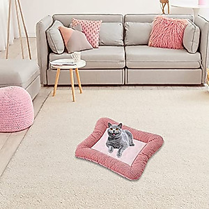 Dog Bed Mat - Soft Crate Mat with Anti-Slip - Pet Mattress for Dog/Cat Sleeping/2183 (Color : Pink)