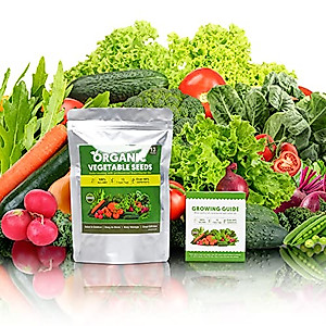 Organic Heirloom Vegetable Seeds Kit, 13 Varieties Packets|6000+ Seeds for Planting, Non-GMO, Spinach, Broccoli, Tomato, Lettuce, Pumpkin, Carrot, Beet, Squash, Peas, Cucumber, Arugula and More