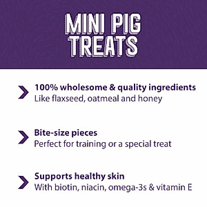 Mazuri® Mini Pig Treats – Oat & Honey, 6 lb.
