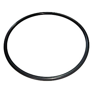 350013 O-Ring For WhisperFlo and IntelliFlo Pump Trap Lid (1/Pack)