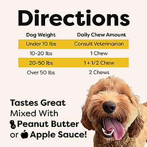 Doc Itchy Hair Skin & Nails Dog Pet Chews | Medical-Strength Vitamin A Retinol & B3 Niacinamide | Omega 3 EPA | Super Nutrients to Boost Skin Health & Prevent Irritation | Food Allergy Safe | 90 Count