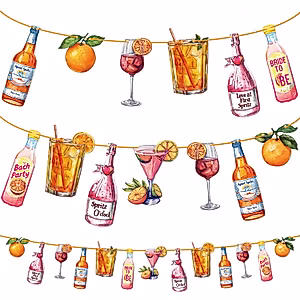 Aperol Spritz Party Spritz Party Decorations Spritz Themed Party Banner Bridal Shower Bachelorette Decorations Cocktail Wedding Party Supplies Favor