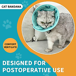 Fluffyland Cat Cone Collar Soft to Stop Licking and Scratching Adjustable Kitten Cone with Cat Toy Balls - Cat Recovery Collar for Small Large Cats After Surgery and Daily Wear (Green，S)