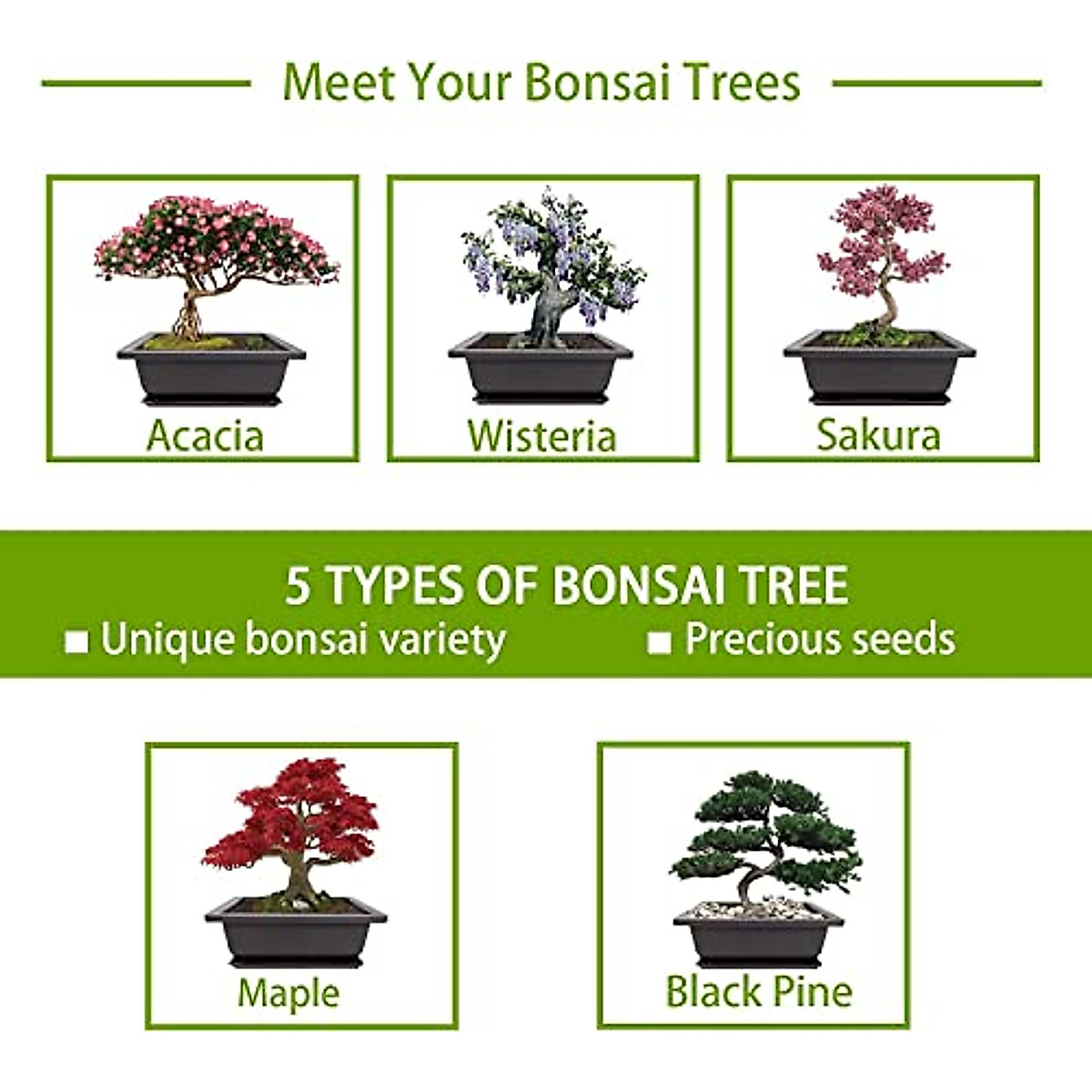 Meekear Indoor Starter Kit with Complete Planting Tools, Gardening DIY Gift for Plant Lovers