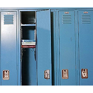 Oxel Hanging Locker Shelf Organizer with 2 Hooks and 4 Small Pockets