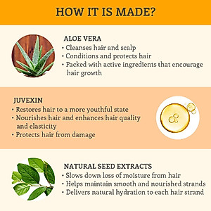 Global Keratin GK Hair Moisturizing Conditioner (33.8 fl.oz/1000ml) - Hair Smoothing Serum - 100% Pure Organic Argan Oil 1.69 Fl Oz