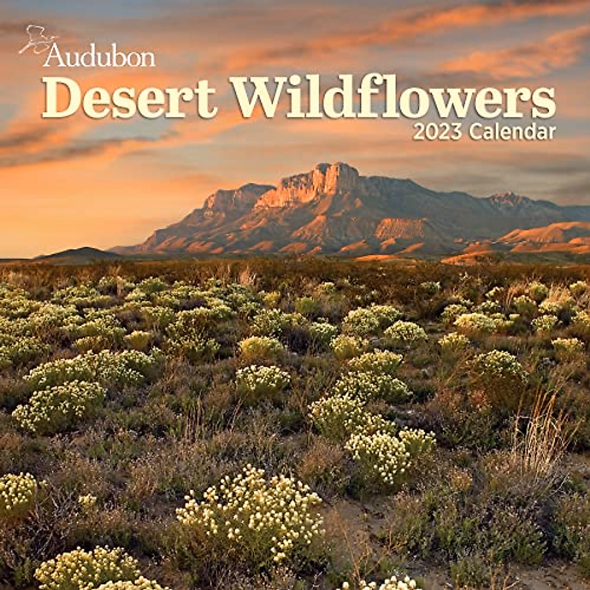 Audubon Desert Wildflowers Wall Calendar 2023: A Visual Delight for Nature Lovers and Gardeners Alike