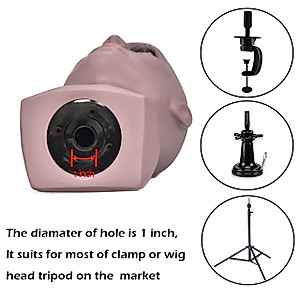 ZMS Male Mannequin Head Stand Professional Training Bald Head Manikin Bald Hat Display Wig Training Head ModelClamp(High 33cm, Circumference 57cm)