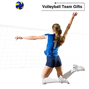 WILLBOND 12 Pieces Silk Hair Scrunchies Volleyball Sport Hair Elastic Satin Ties Bands Ponytail Holders for Players Teams Gifts Wristband Decoration Accessories Women(Black)