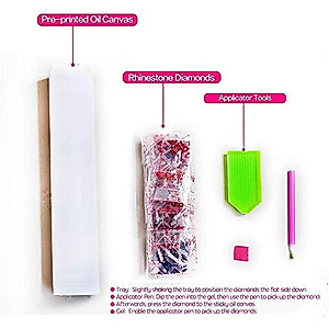 SHCIJGE 5D Painting Art Painting Full Diamond Rhinestone Picture Crystal Embroidery kit Art handicrafts Wall Decoration Cartoon and Animation Series 12x16 inches