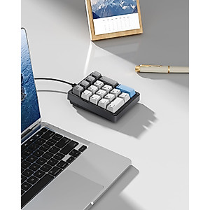 Kisnt Mechanical Number Pad,Hot Swappable Numpad Wired USB 17 Keys Keypad White Backlit Numeric Keypad with PBT Keycaps for Laptop PC Compact Keyboards (Black, Brown Switch)